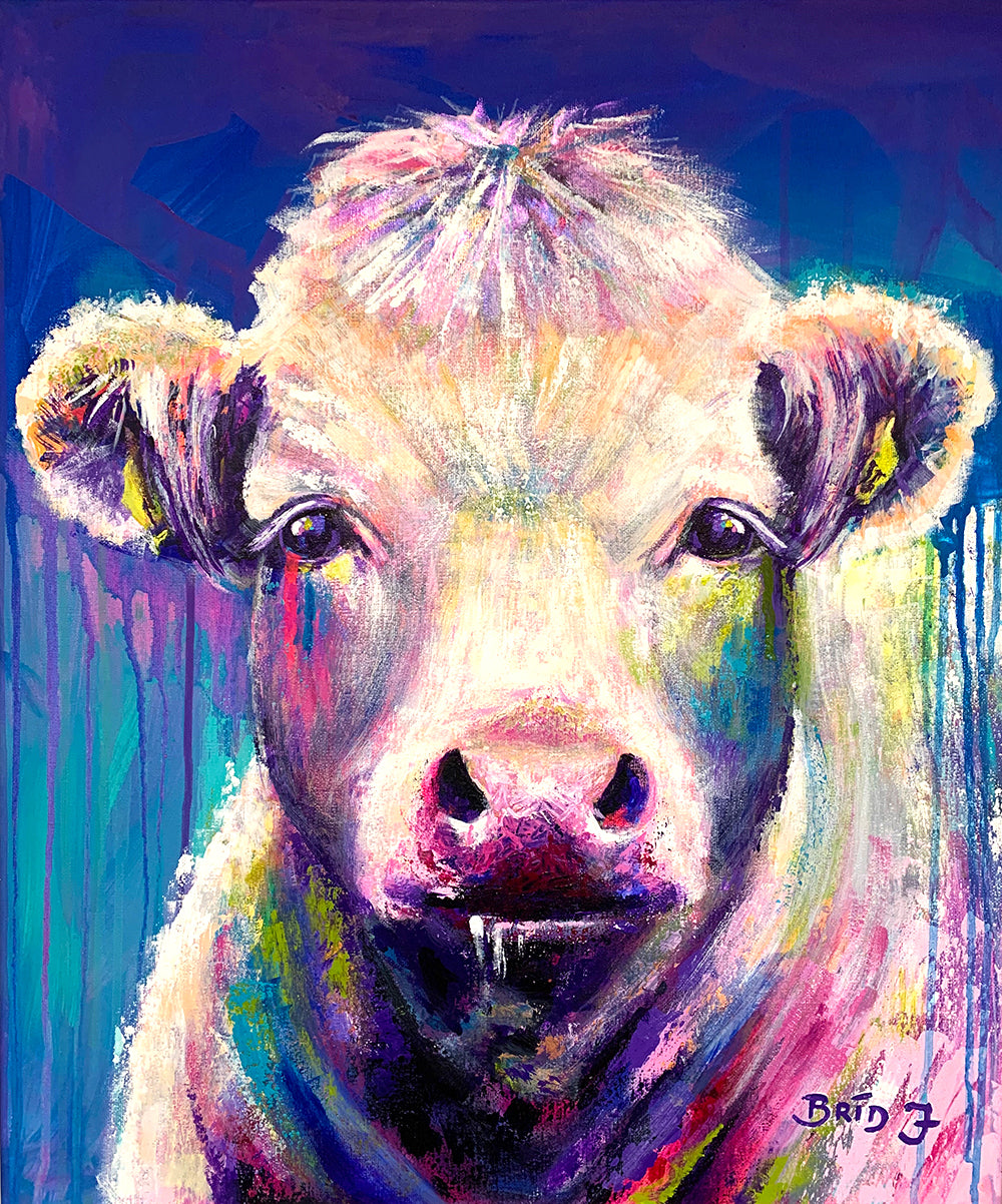 Barney | Limited Edition Print – Bríd Fanning Art
